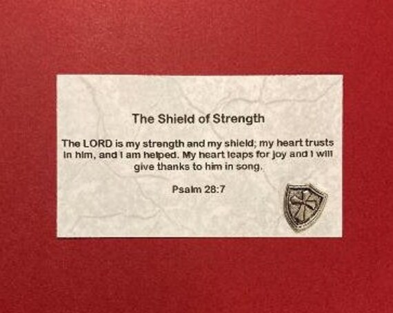 Shield of Strength Gift Set | Etsy