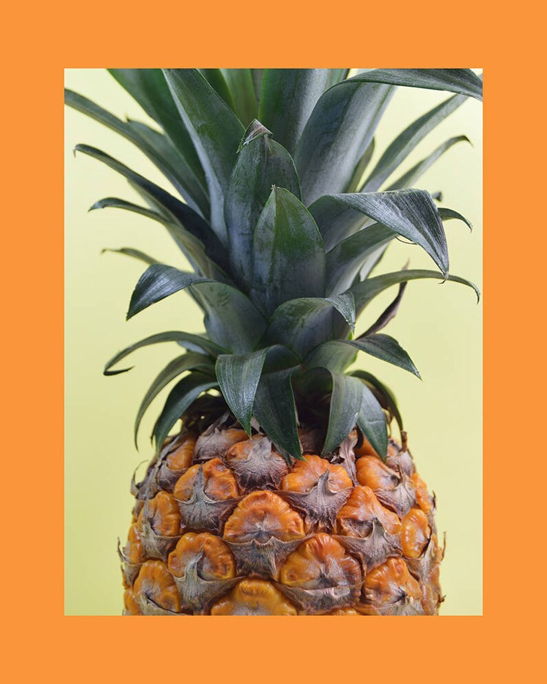 Pineapple Print Digital Download, Pineapple Printable Art, Pineapple ...