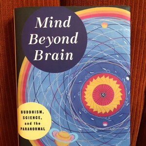 Mind Beyond Brain - Etsy