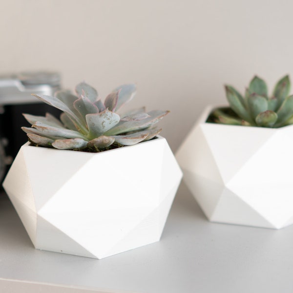 3d Printed Cute Planter - Etsy