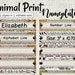 Printable Animal Print Desktop Nameplates Classroom Labels - Etsy