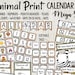 Animal Print Mega Calendar Set | Classroom Calendar | Pocket Calendar ...