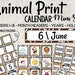 Animal Print Mini Calendar Set | Classroom Calendar | Pocket Calendar ...