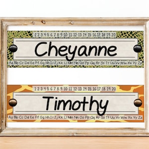 Printable Animal Print Desktop Nameplates | Classroom Labels | Editable ...