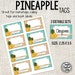 Pineapple Tags | Tropical Party Tags | Classroom Name Tags | Birthday ...
