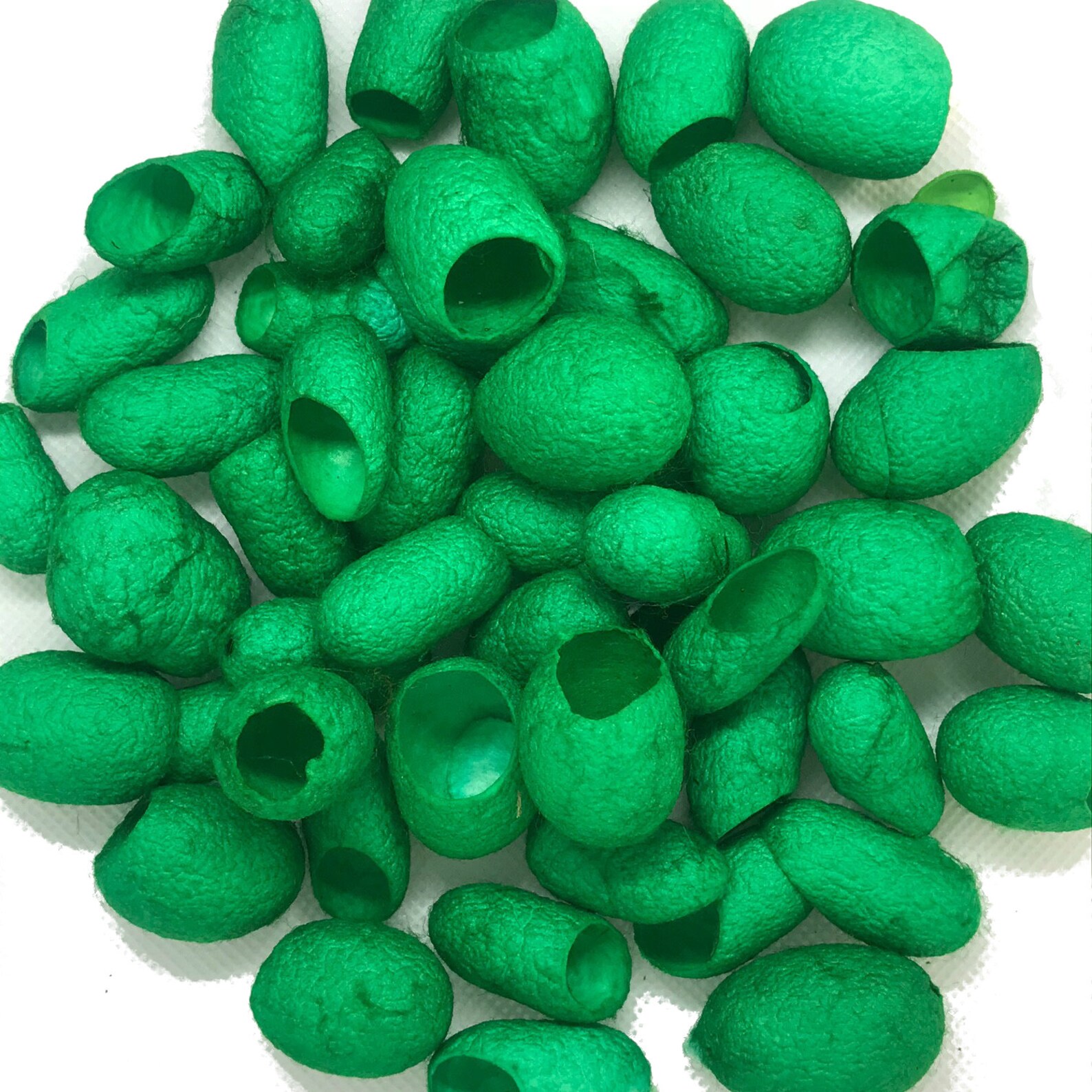 Green Color 30 Hand Dyed Silk Cocoons Silk Cut Cocoons - Etsy