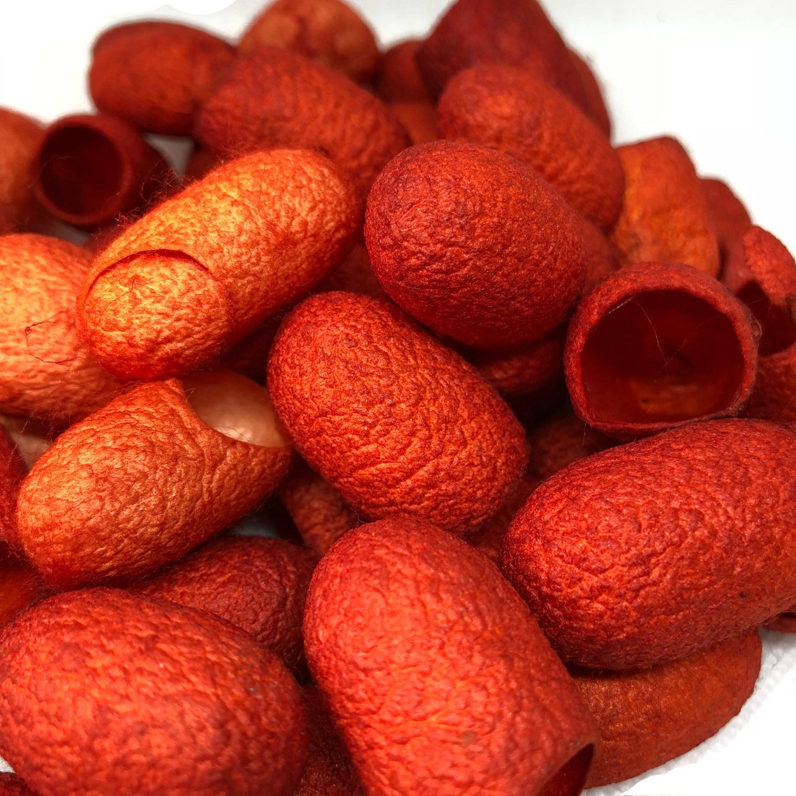 Orange Color 30 Hand Dyed Silk Cocoons Silk Cut Cocoons - Etsy