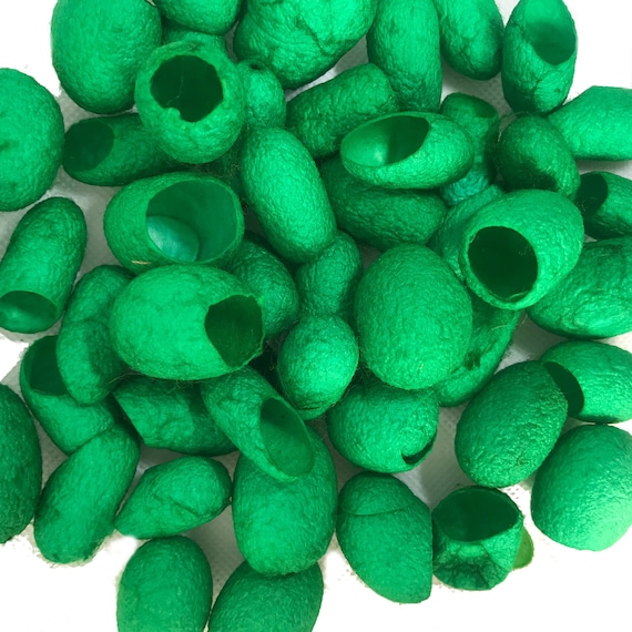 Green Color 30 Hand Dyed Silk Cocoons Silk Cut Cocoons | Etsy