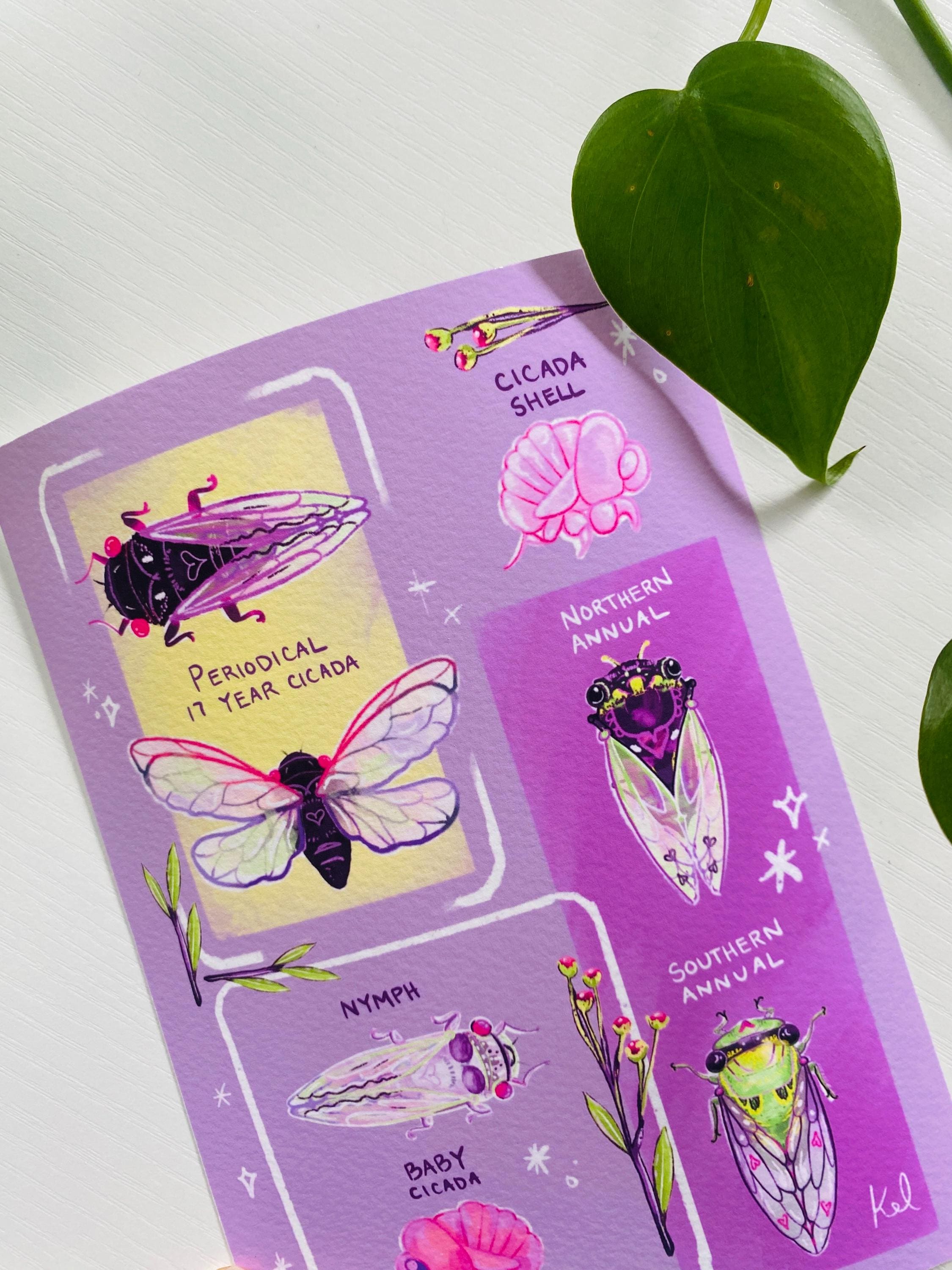 Cicada Art Print - 5x7 Bug Wall Art - Periodical Cicada Drawing ...