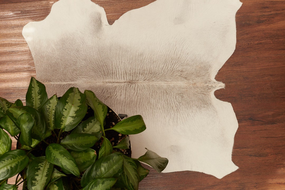 Hide Leather Rug Small, Bedroom, Lounge, Studio, Entryway, Door Mat ...