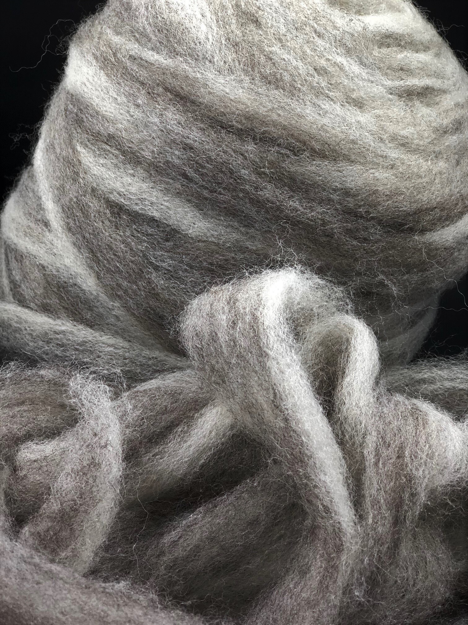 Jacob/alpaca Cross in Sliver - Etsy