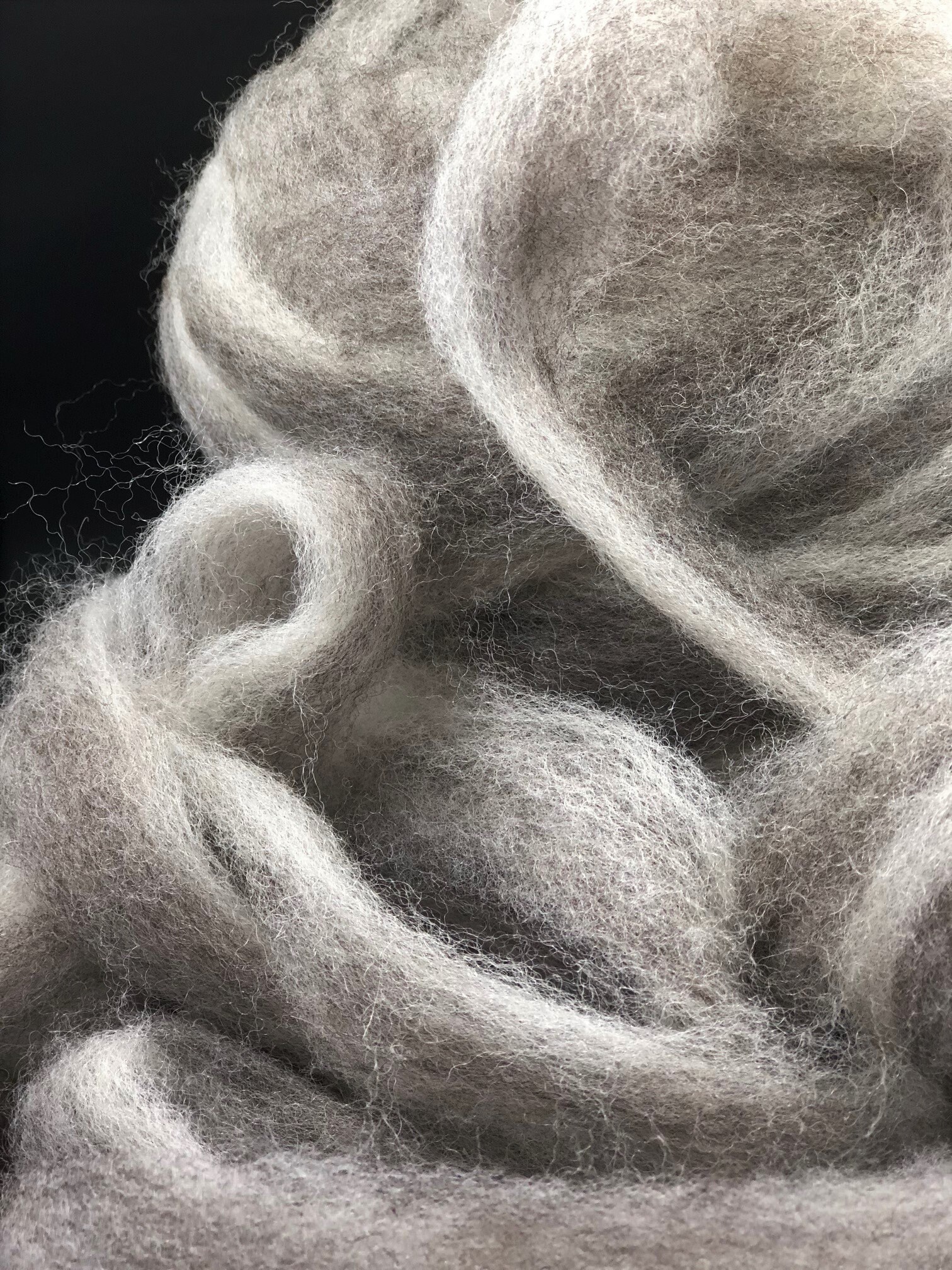 Jacob/alpaca Cross in Sliver - Etsy