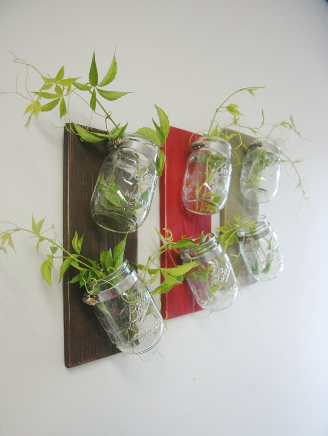 Kitchen wall herb garden Wall mounted herb garden Modern | Etsy