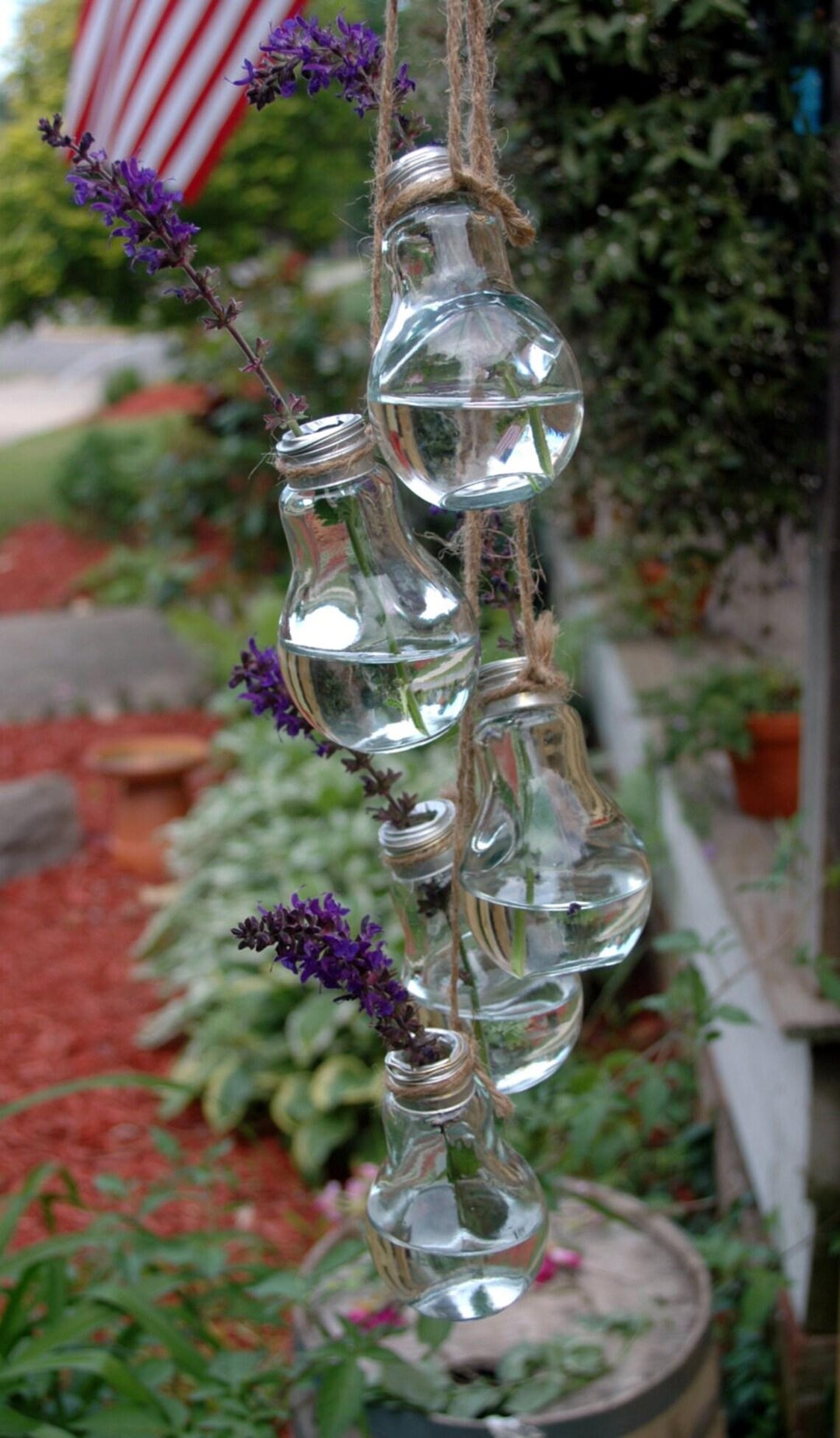 Hanging Rooter Vase, Kitchen Vase, Plant Cuttings Vase, Propagation ...