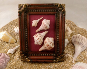 Conch shell art | Etsy