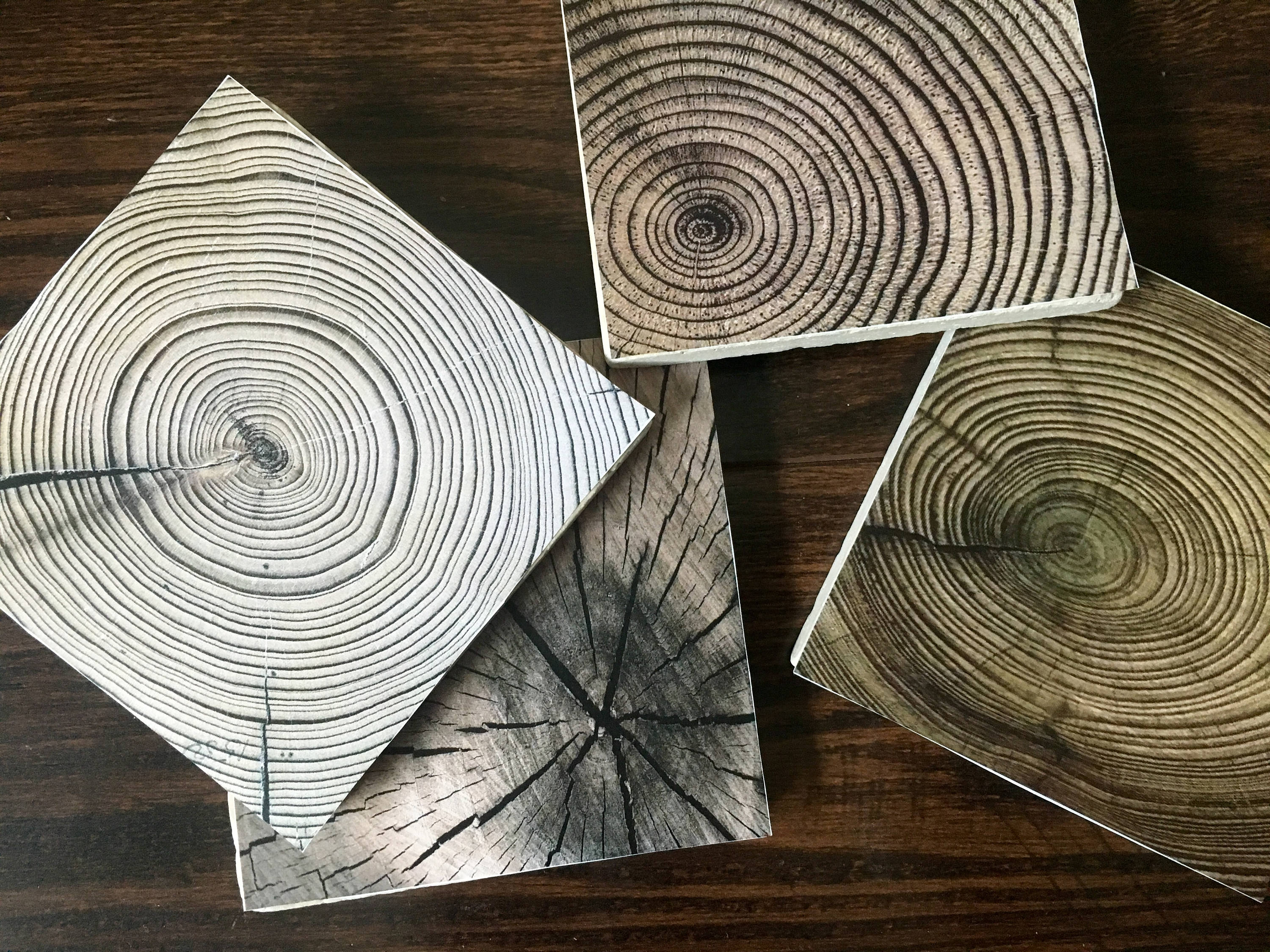 PNW Tree Rings Coasters Stone Coasters Set of 4 - Etsy