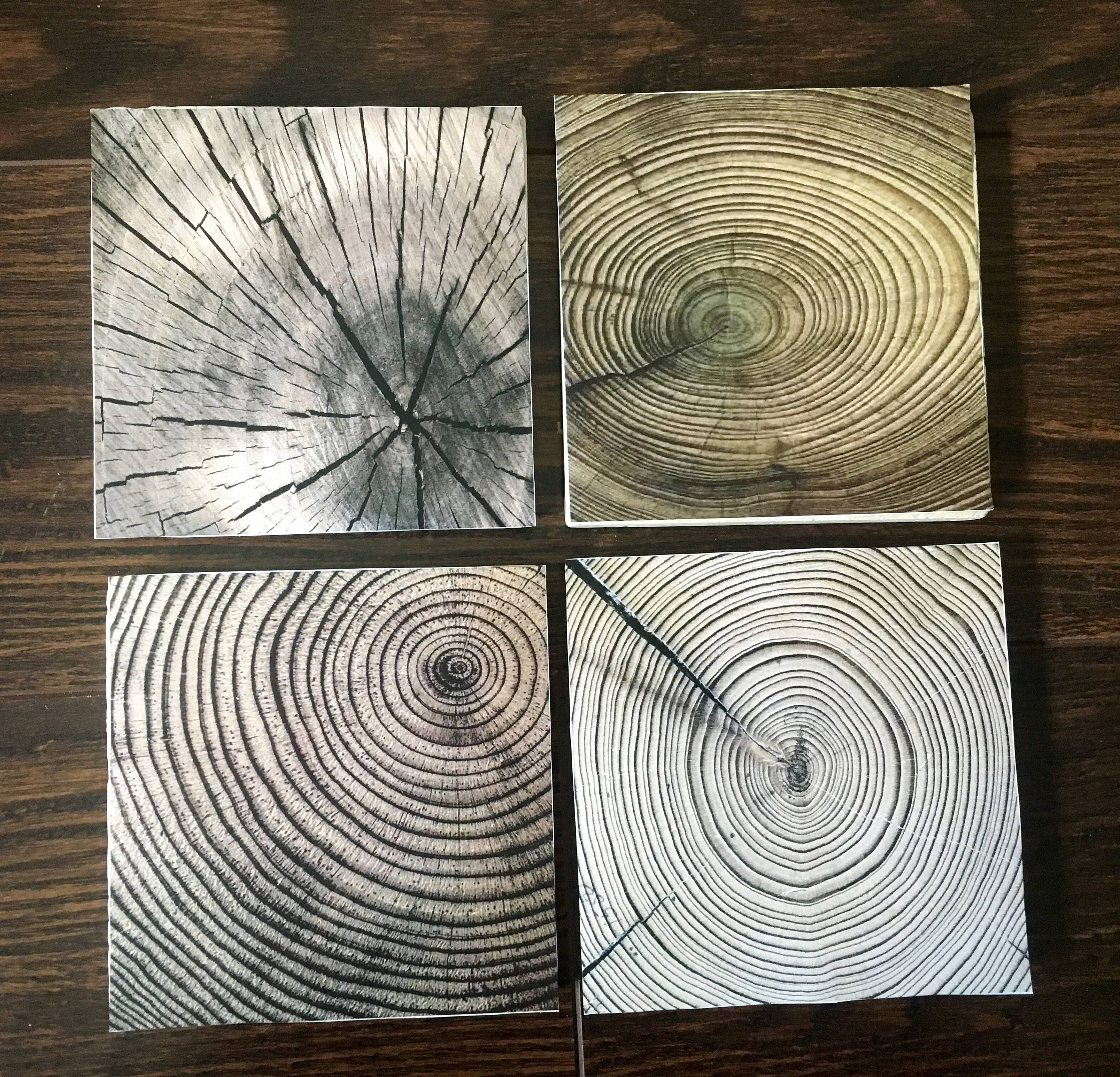 PNW Tree Rings Coasters Stone Coasters, Set of 4 - Etsy