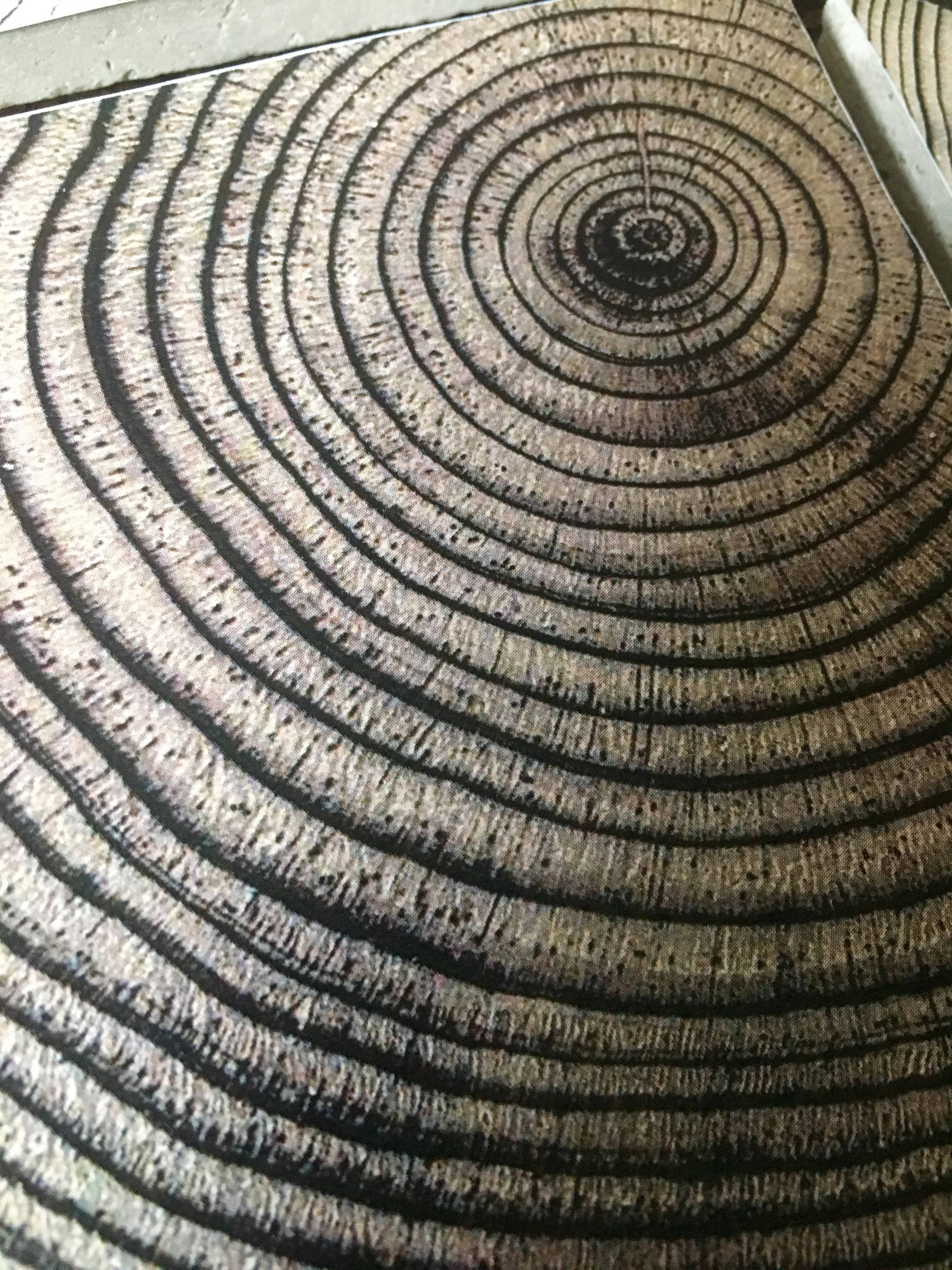 PNW Tree Rings Coasters Stone Coasters Set of 4 - Etsy