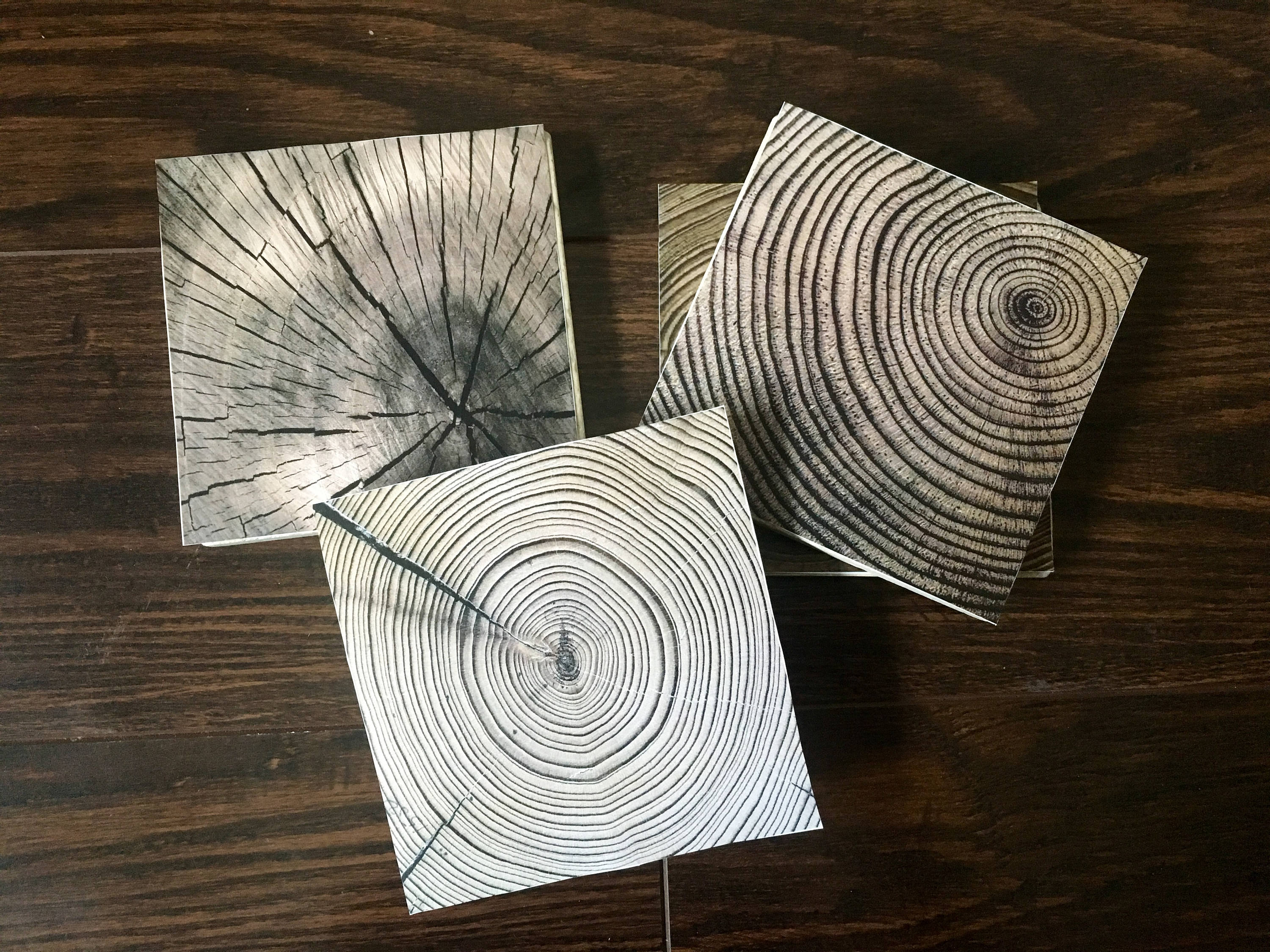 PNW Tree Rings Coasters Stone Coasters, Set of 4 - Etsy
