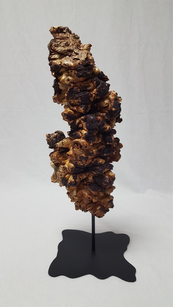 Art & Collectibles Art Objects Sculpture Buckeye Burl Tabletop Wood ...