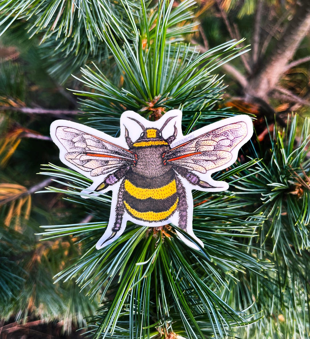 Bumble Bee Vinyl Sticker - Etsy