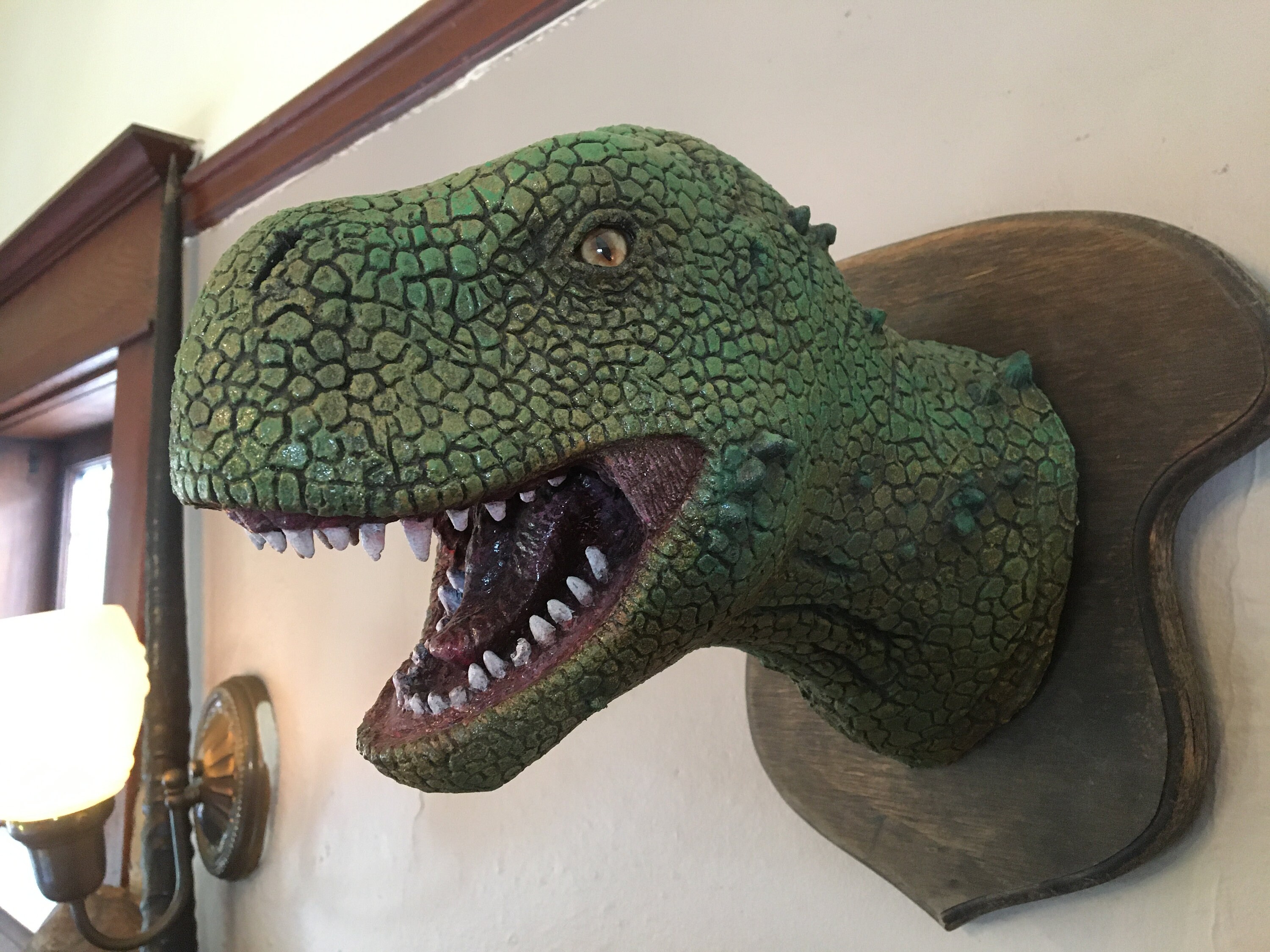 Wall Mount T Rex Dinosaur Bust | Etsy