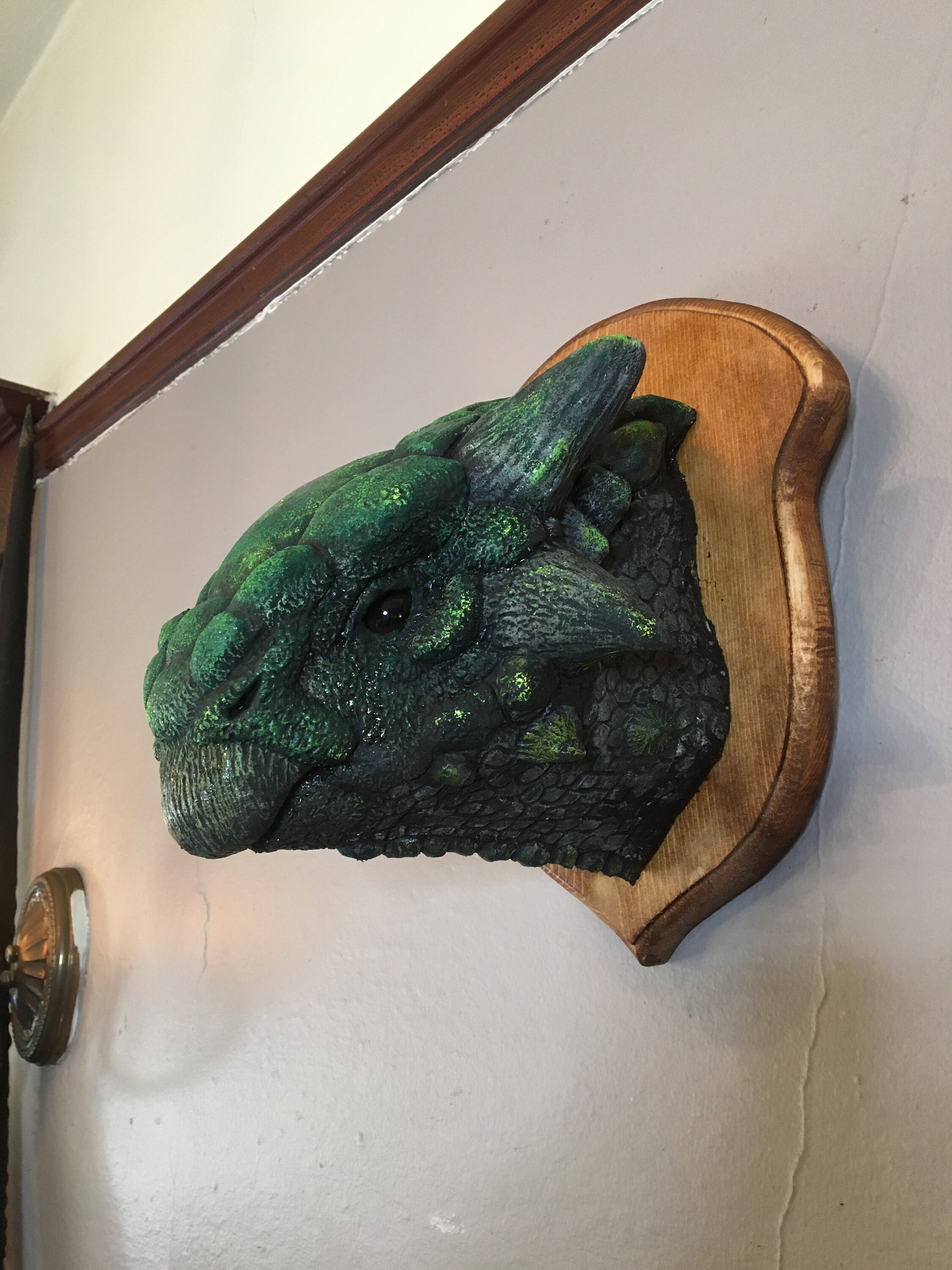 Ankylosaurus Dinosaur Wall Mount | Etsy
