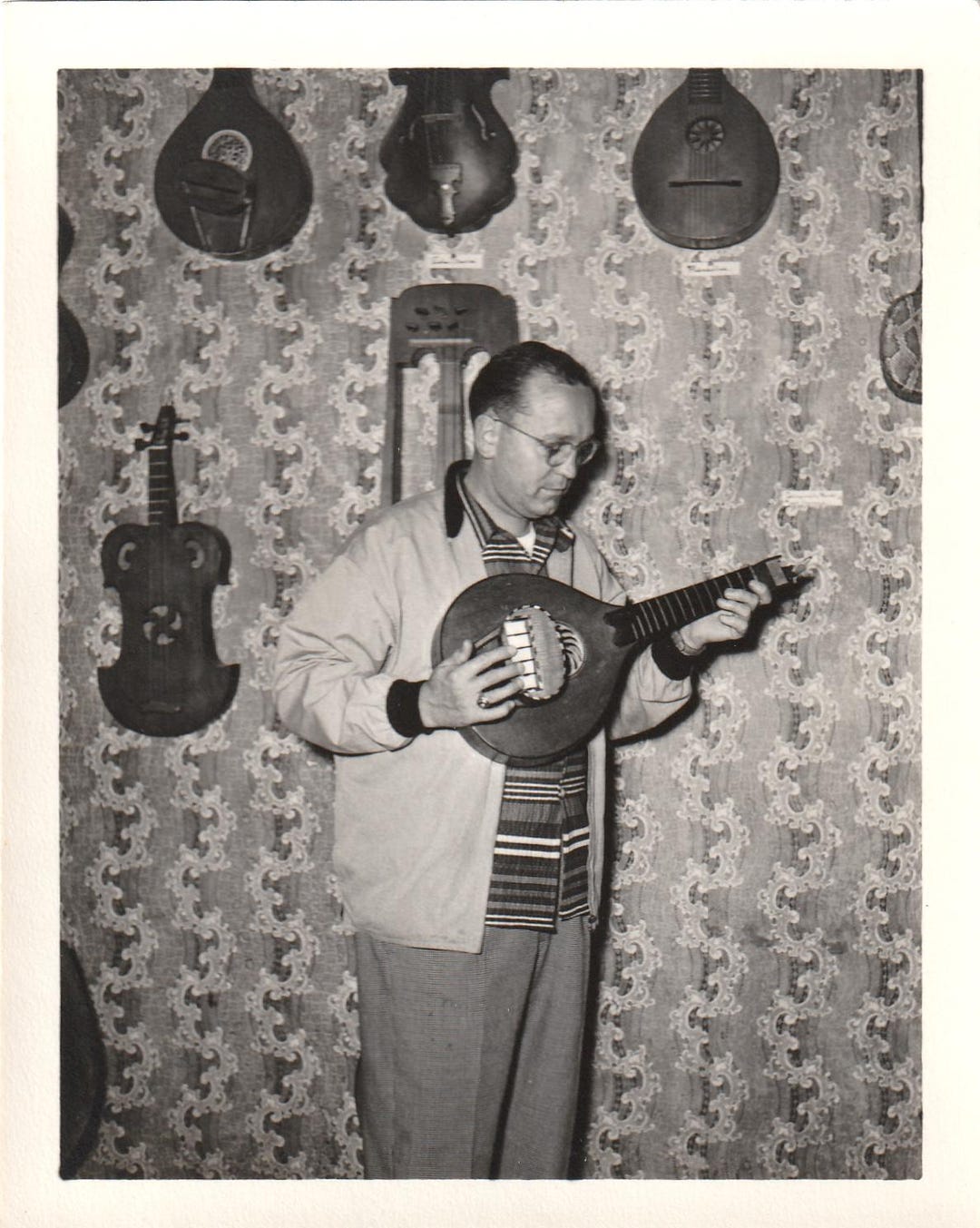 Vintage Snapshot, Stringed Instruments, Collection, Guittar, Lute ...