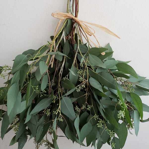 Eucalyptus Bunches - Etsy