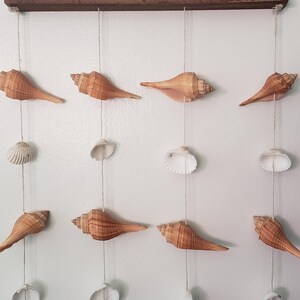 Seashell Wall Hanging, Beach Decor, Seashell Wall Art, Beach Wall ...