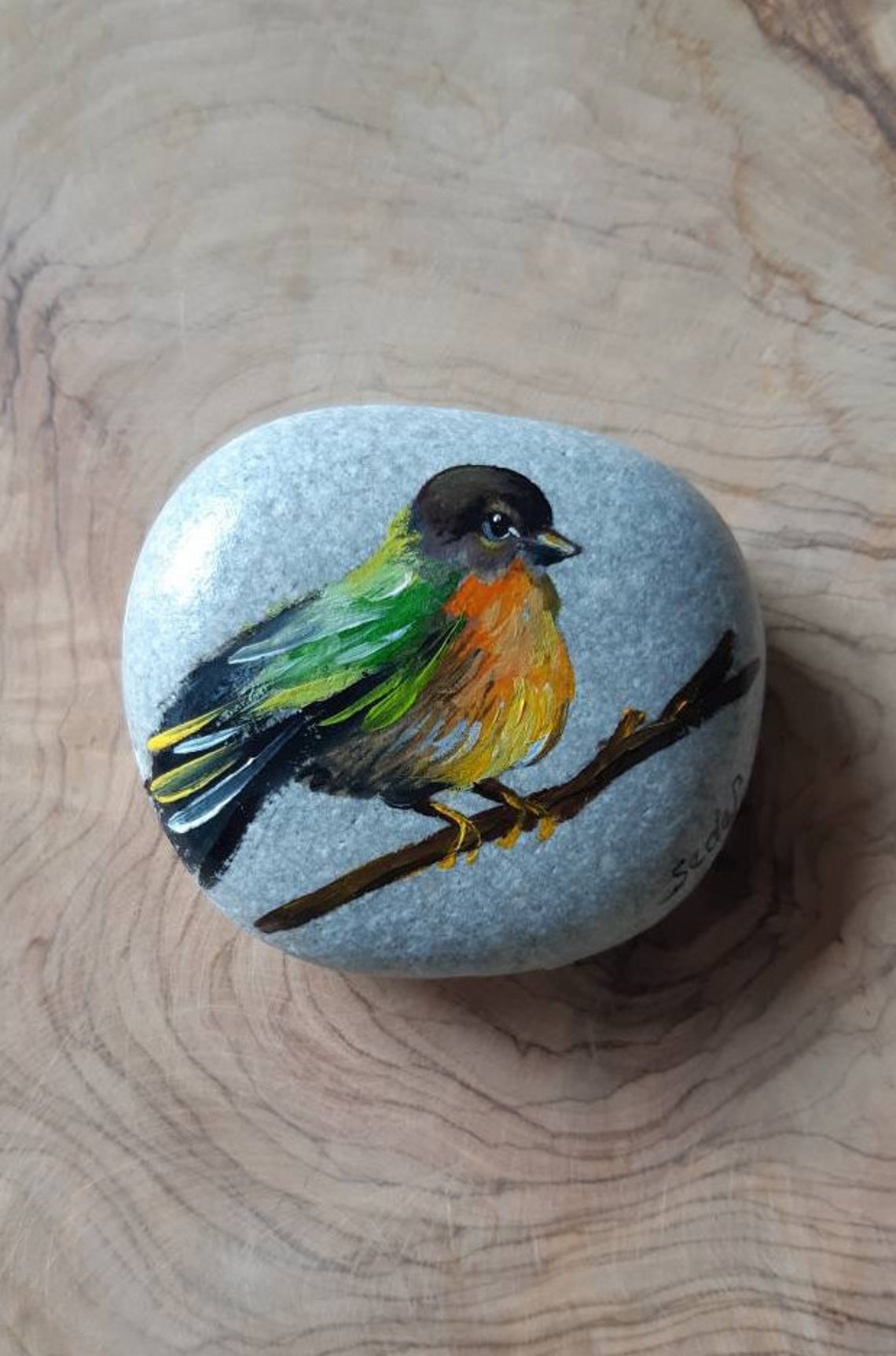 Bird Painted Rock Cute Bird Painting Beach Stone Table | Etsy