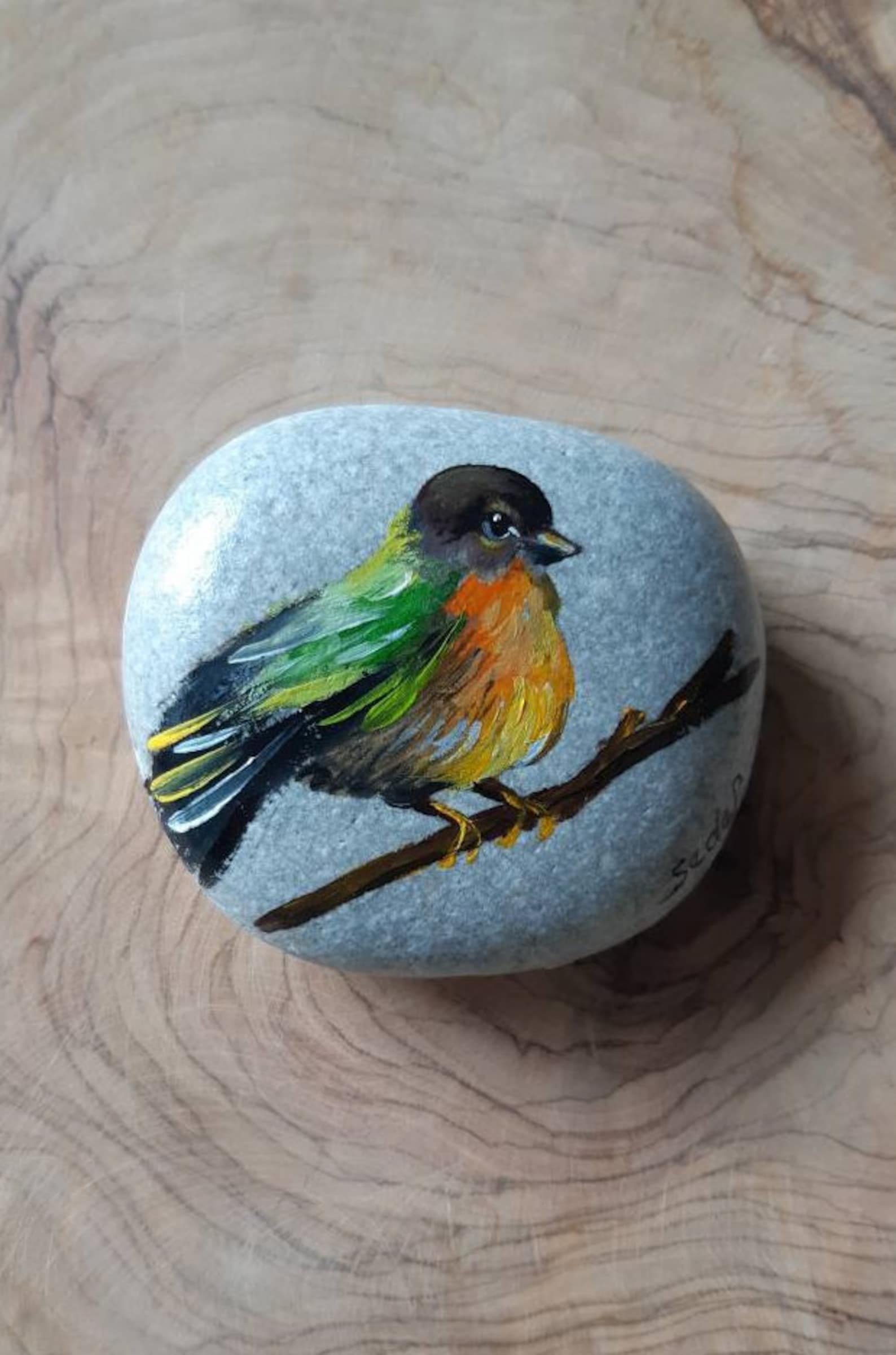 Bird Painted Rock Cute Bird Painting Beach Stone Table - Etsy Canada