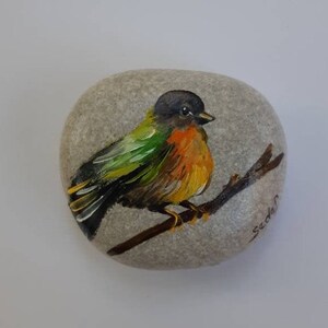 Bird Painted Rock Cute Bird Painting Beach Stone Table | Etsy