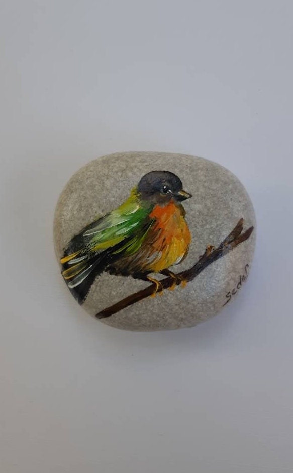 Bird Painted Rock Cute Bird Painting Beach Stone Table | Etsy