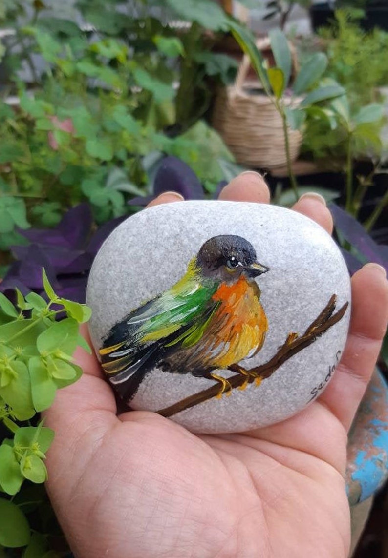 Bird Painted Rock Cute Bird Painting Beach Stone Table | Etsy