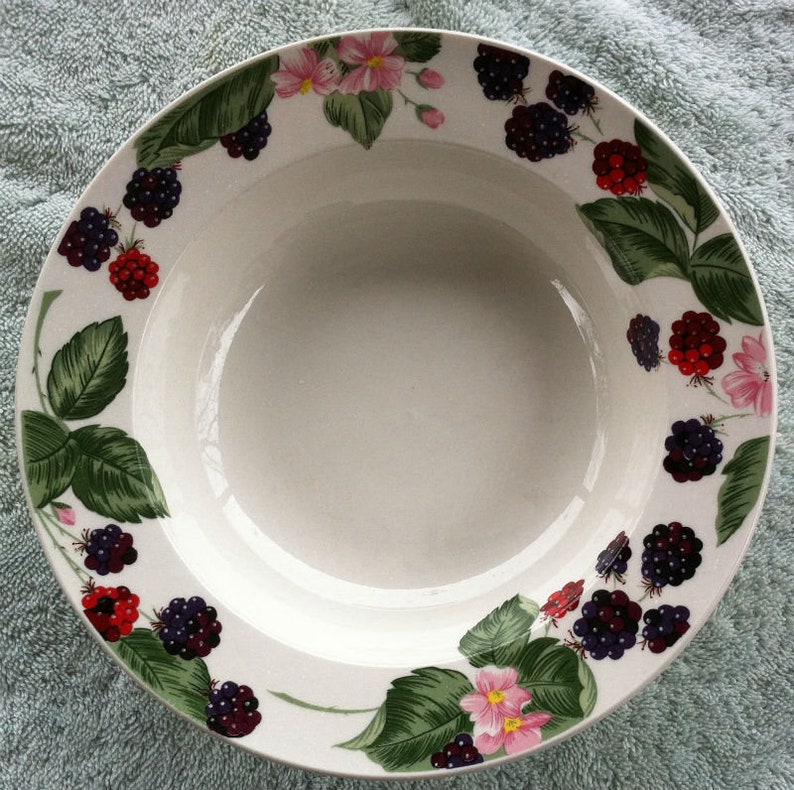 Tienshan Stoneware Salad Plates and Soup Bowls (16) Blackberries ...