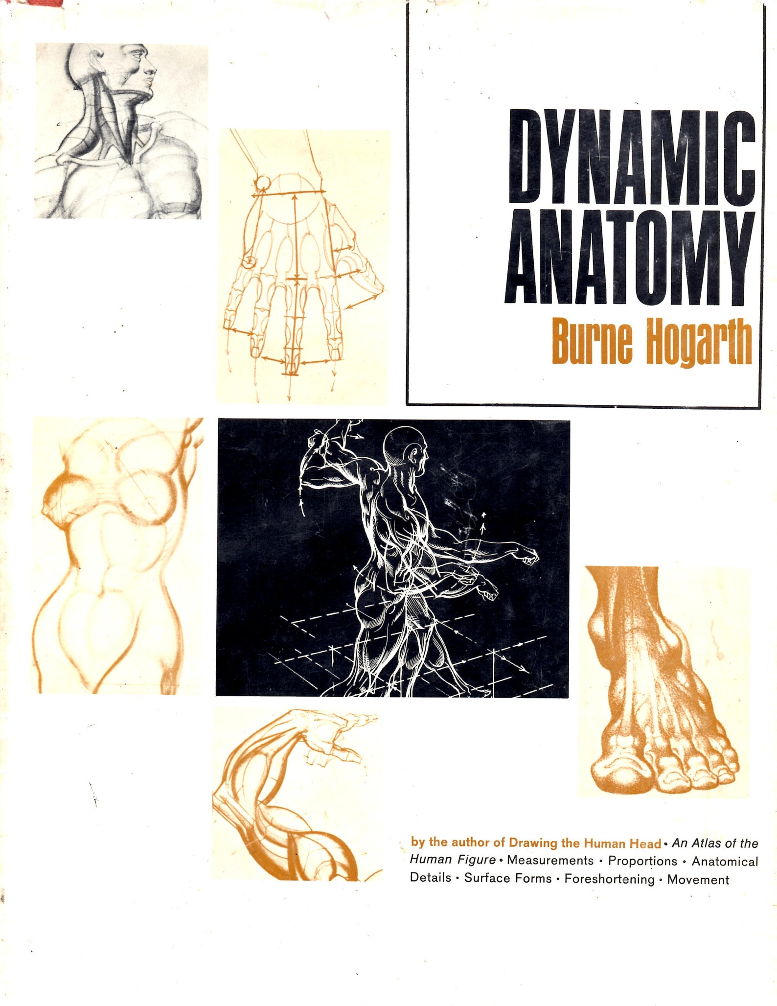 Dynamic Anatomy by Burne Hogarth Book - Etsy