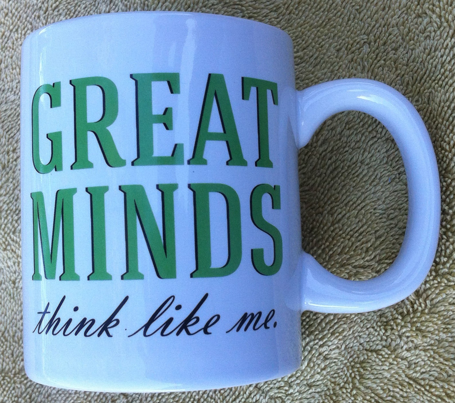 Great Minds think like me mug | Etsy