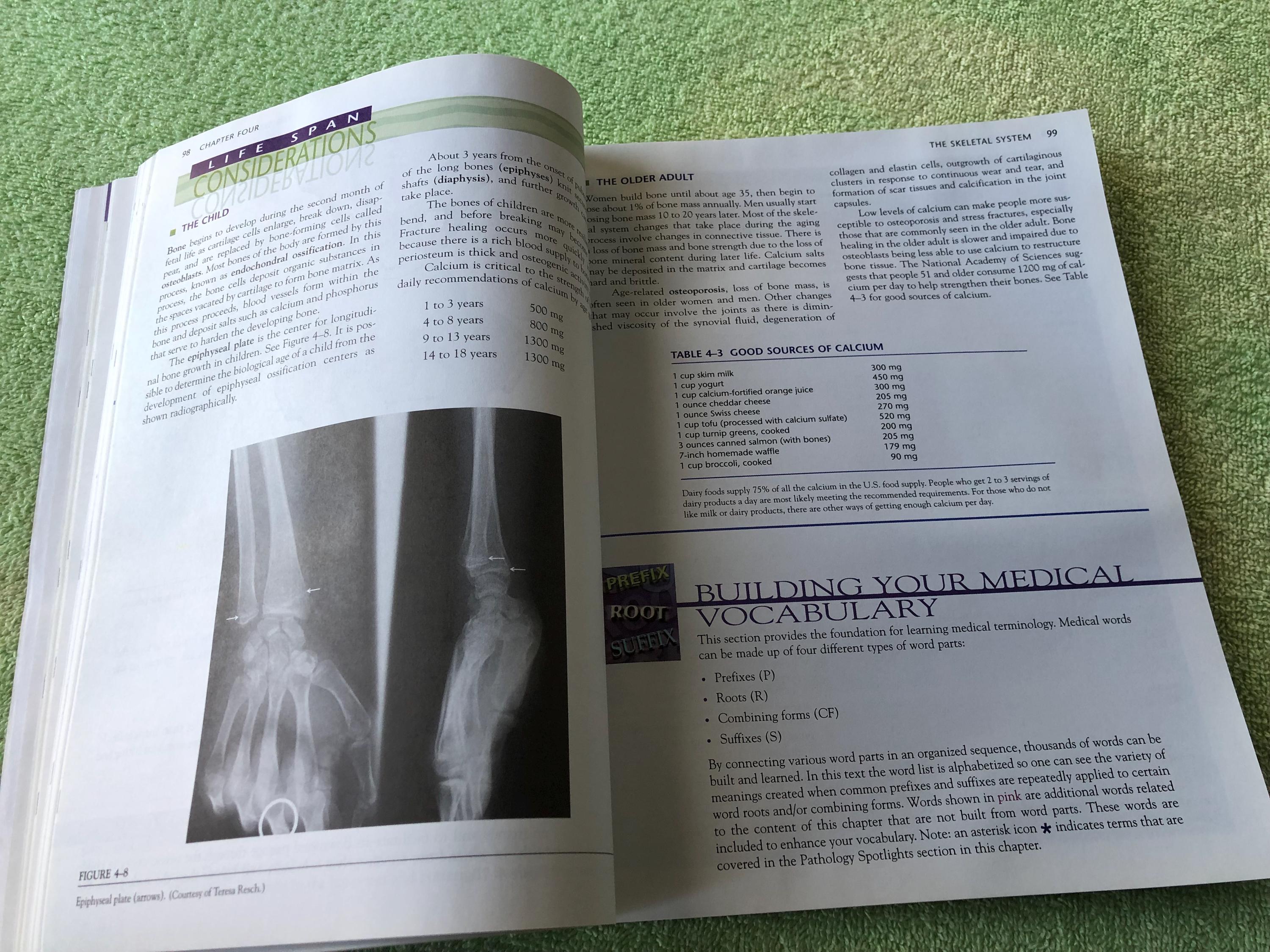 Medical Terminology With Human Anatomy, Jane Rice Softbac\ Book - Etsy