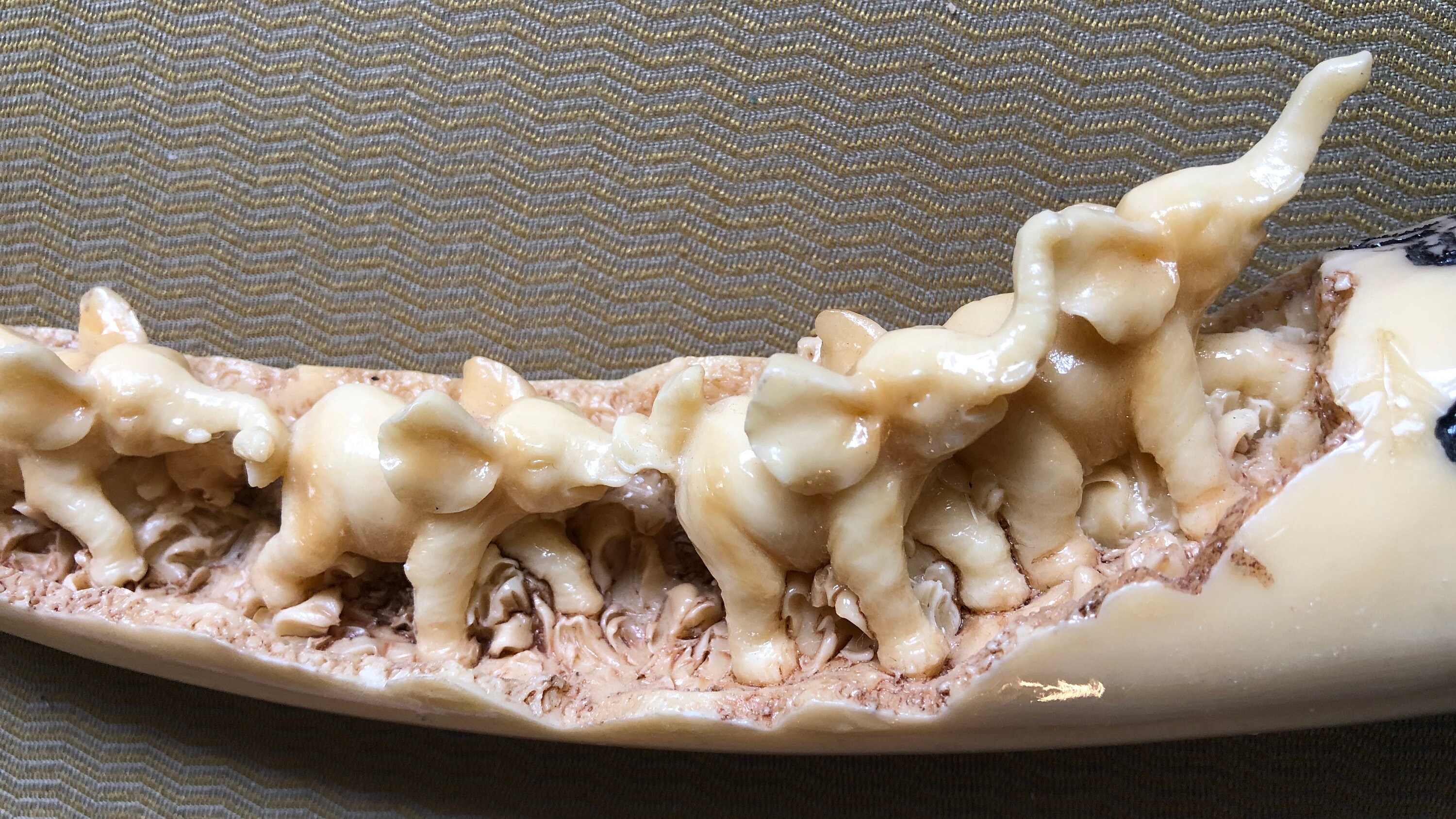 Elephant Tusk Composite Art Piece - Etsy