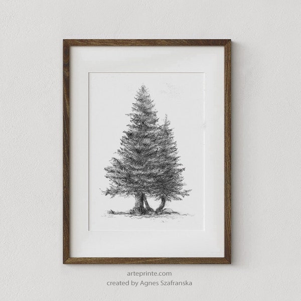 White Pine Tree Print - Etsy