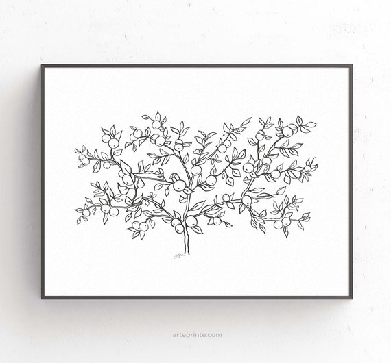 Black And White Apple Tree Drawing