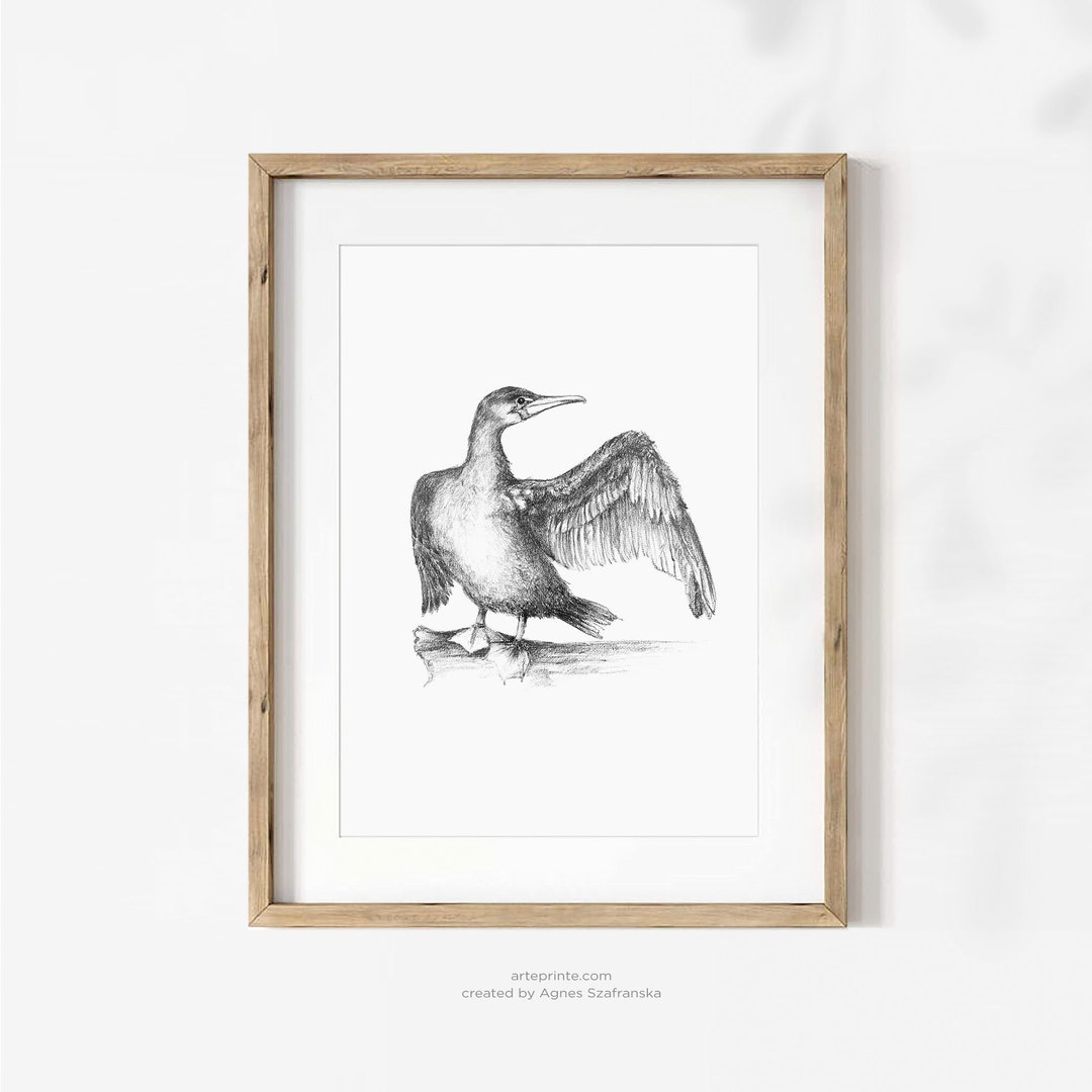 Seaside Bird Drawing, Cormorant Art Print, Graphite Pencil Sketch ...