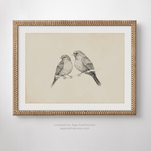 Birds Drawing, Graphite Pencil Sketch, Pair of Robins, Horizontal Print ...