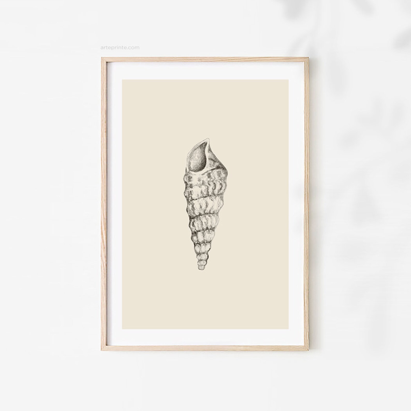Sketch of Seashell Art Print Minimalist Drawing Seashell - Etsy