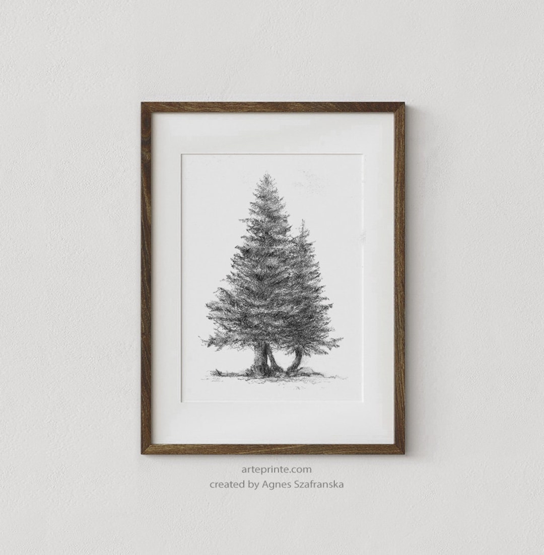 Pine Tree Pencil Drawing