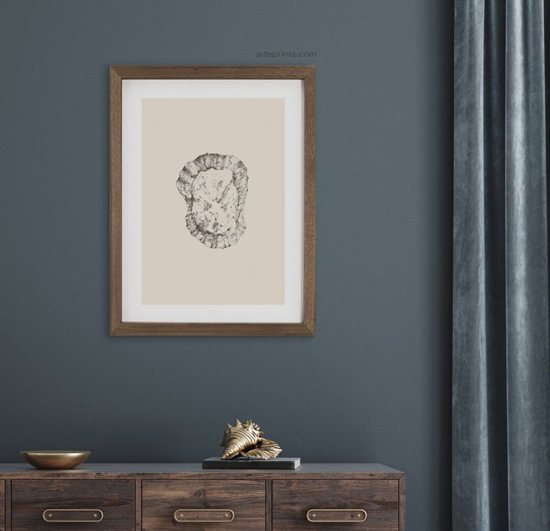 Seashell Drawing, Minimalist Art Print, Graphite Pencil Sketch, Vintage ...