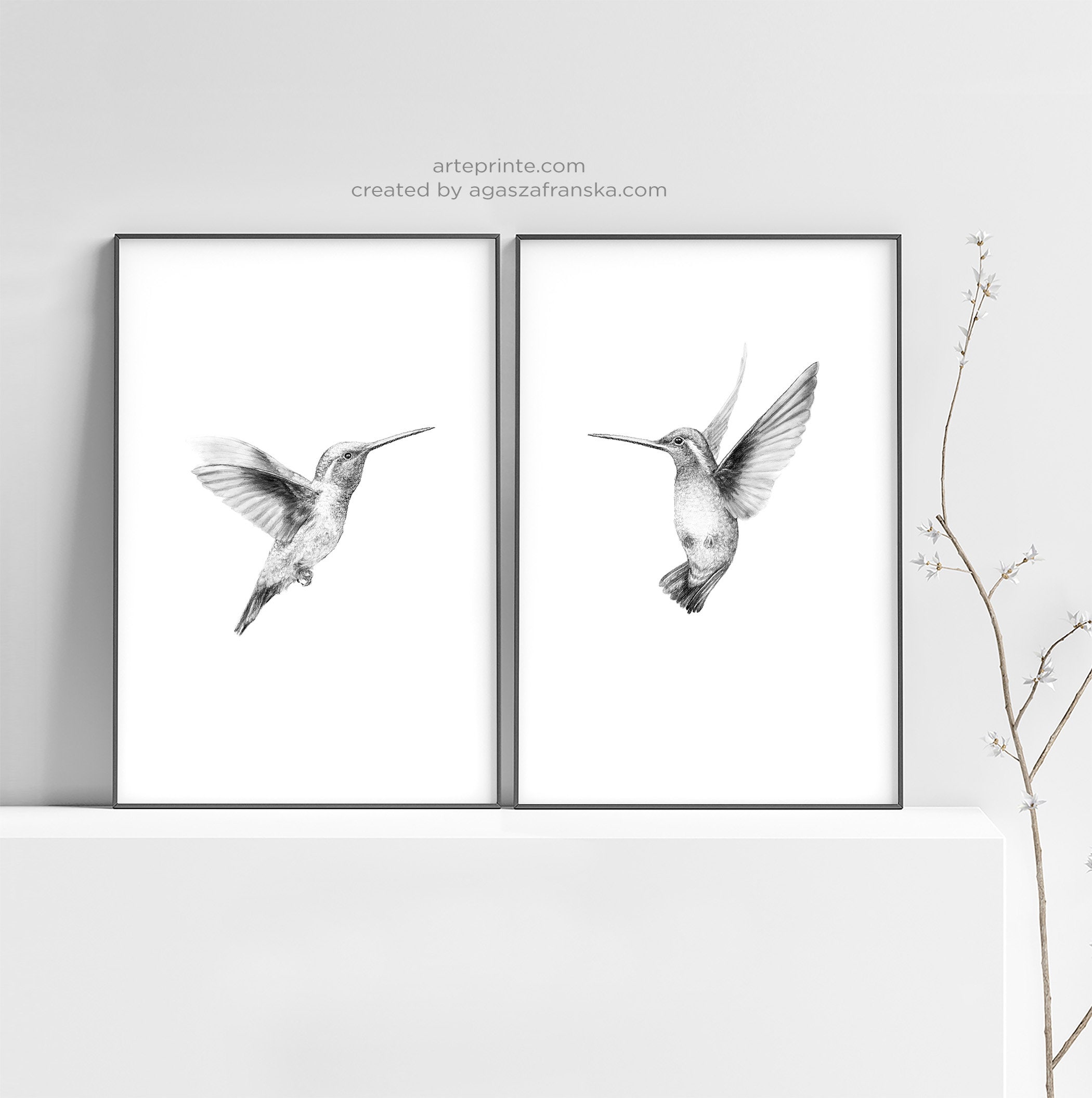 Two Hummingbirds Drawings