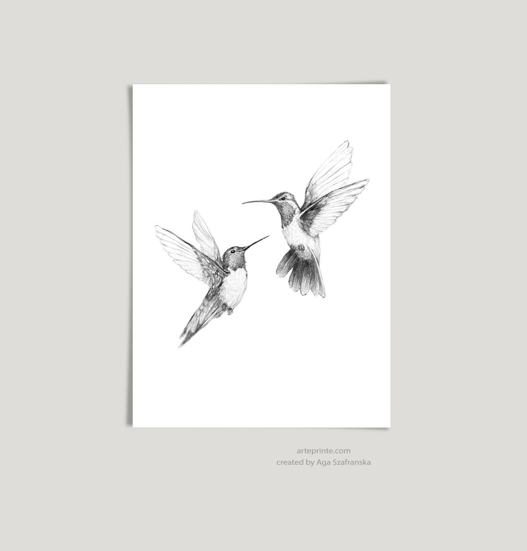 Hummingbirds Sketch, Pair of Birds, Vintage Style Pencil Drawing Art ...
