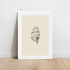 Seashell Drawing Art Print, Graphite Pencil Sketch, Rustic Style Beige ...